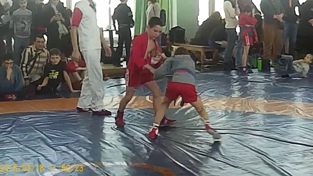 Воля к победе