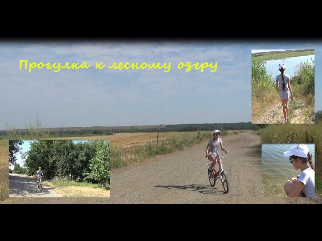 Велопрогулка. Выбираю место для пикника и еще много интересного