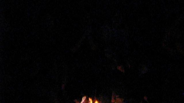 Berestovo Koster 2011.07.30 MVI_2052