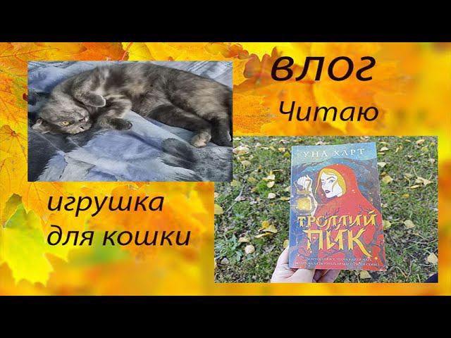 ВЛОГ.   Игрушка для кошки   Читаю "Троллий Пик" Уна Харт