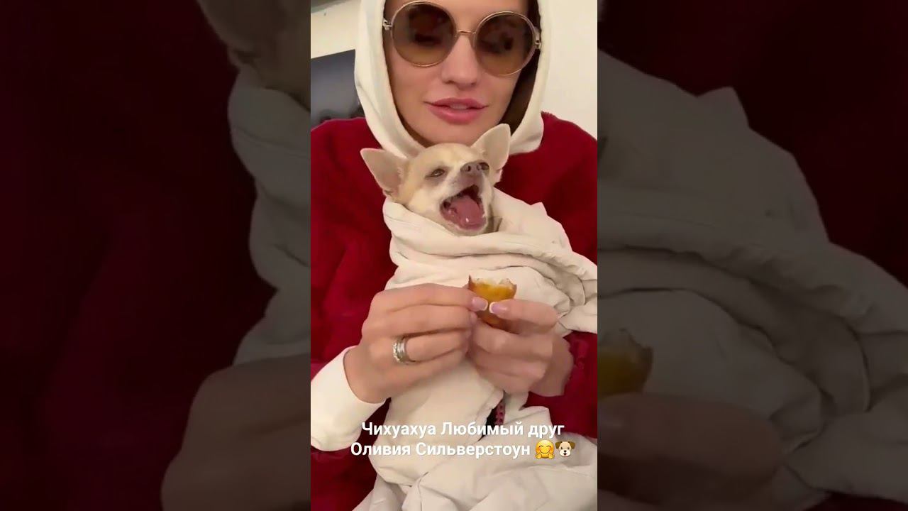 Любимый друг Оливия Сильверстоун