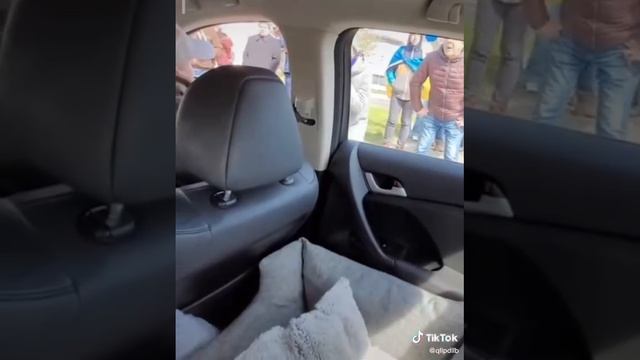 В Германии русский объясняет "патриотам" бежавшим из Украины кто они такие.