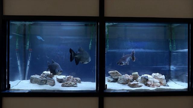 Смоленский зоопарк принимает первых посетителей