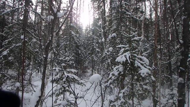 11-09 Ориентирование по Солнцу без часов, часть 2