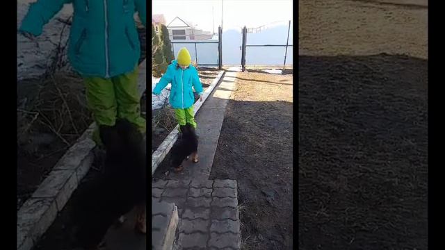 Вот так играют дети в деревне.