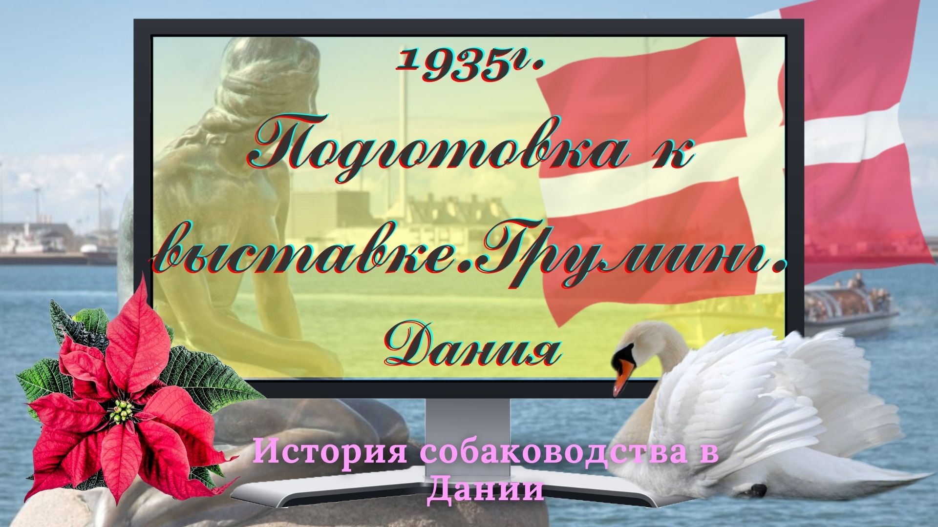 1935г.Подготовка к выставке. Груминг. Дания