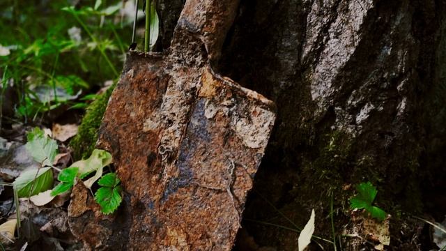 Трейлер фильма В поисках себя. Фильм 10| EE88