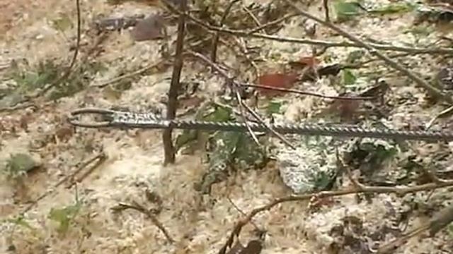 Все видео_Вывоз веток с ул Труда г.Сарапул.mp4