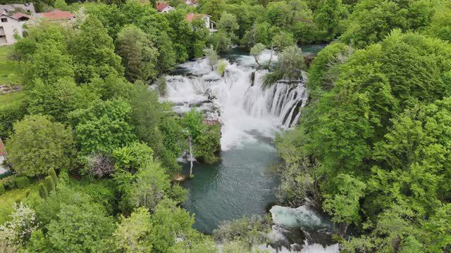 Единственная