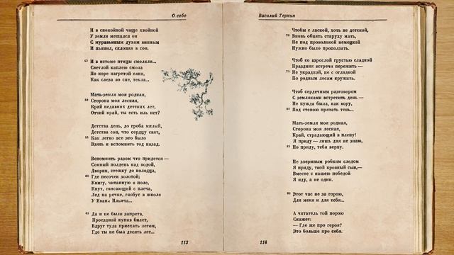 Василий Теркин. Глава 16. О себе