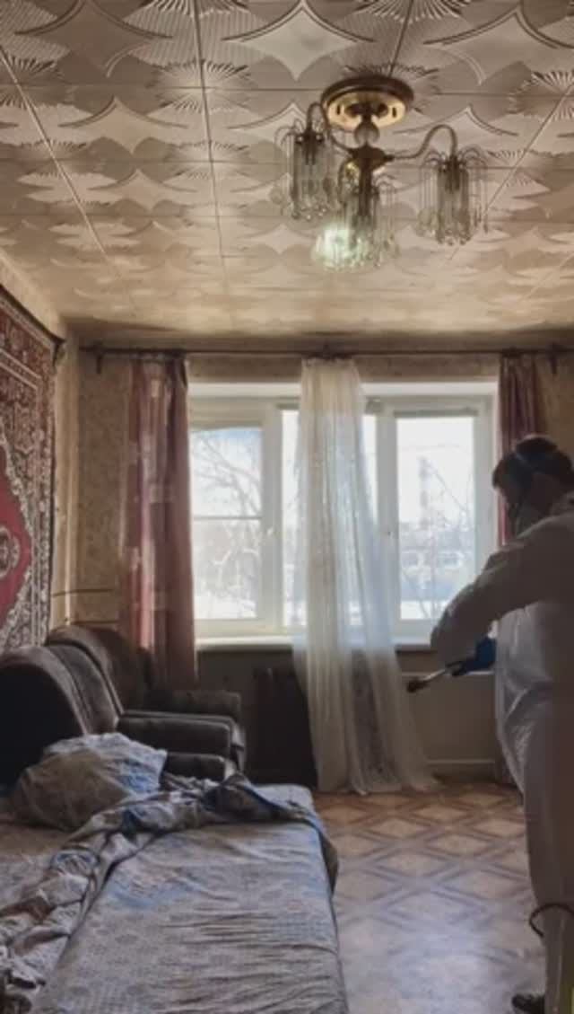 Обработка комплекта мебели от клопов - Ускоренное видео