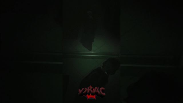 Что то живет в зеркале? 😱 #спаниель #собака #дух #скример #призрак #ужасы #мистика #хоррор #страх