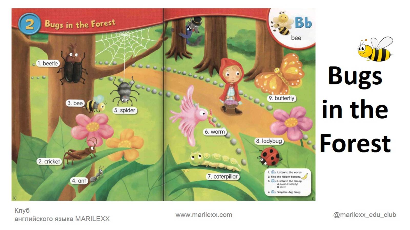 2. Bugs in the forest ("Букашки в лесу", учим слова)