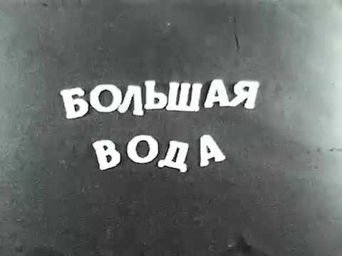 Паводок 1979 год.