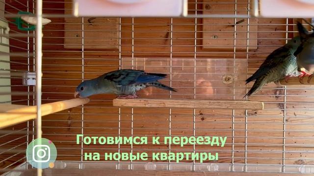 2 месяца со дня рождения