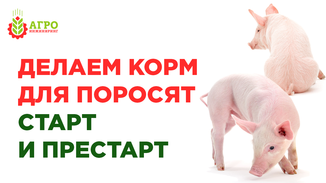 Как сделать самим корм для поросят  старт и престарт до отъема от самки и после.
