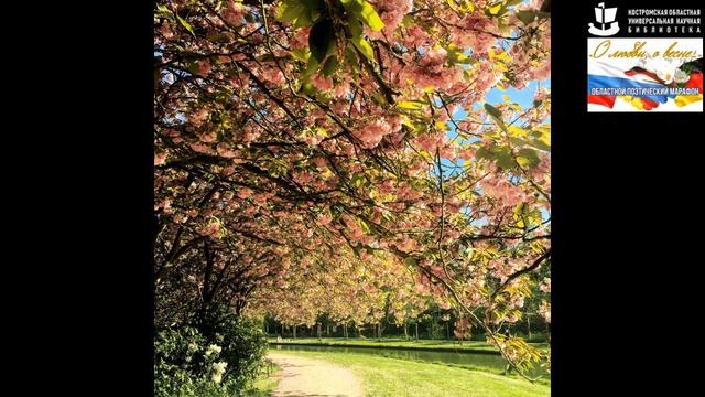 «Es grünen die Bäume» (Friederike Kempner).mp4
