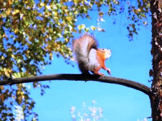 УТРО mp4  Автор и исполнитель - Константин Русских