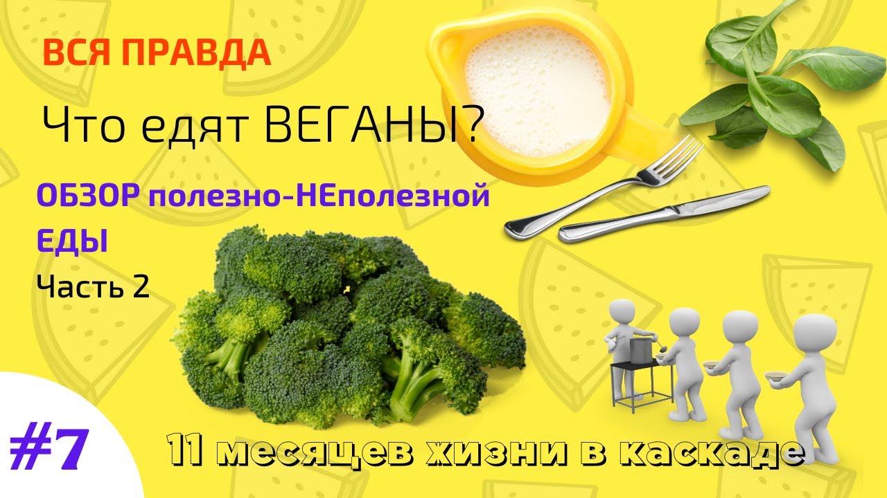 7️⃣ Веганские и НЕ веганские продукты-2 ЧАСТЬ.