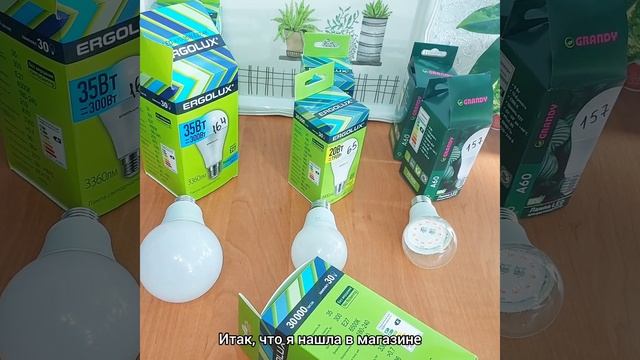 Какую лампочку выбрать для растений??Начинаю эксперимент? #цветы #растения #уход #shorts