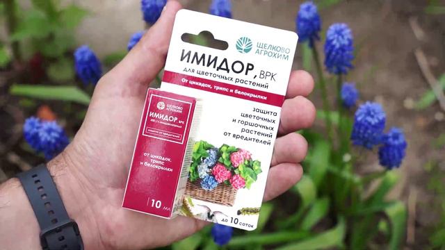 Комплекс для вашего сада на даче