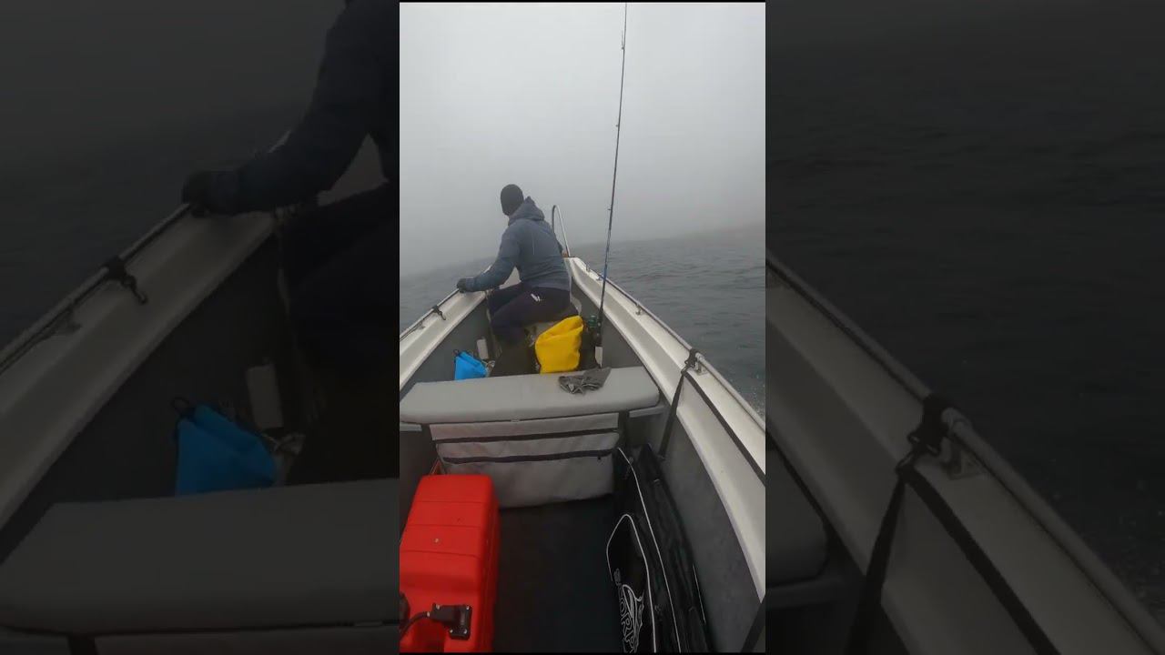 #shorts #русскиймеханик #баренцевоморе  туман на море