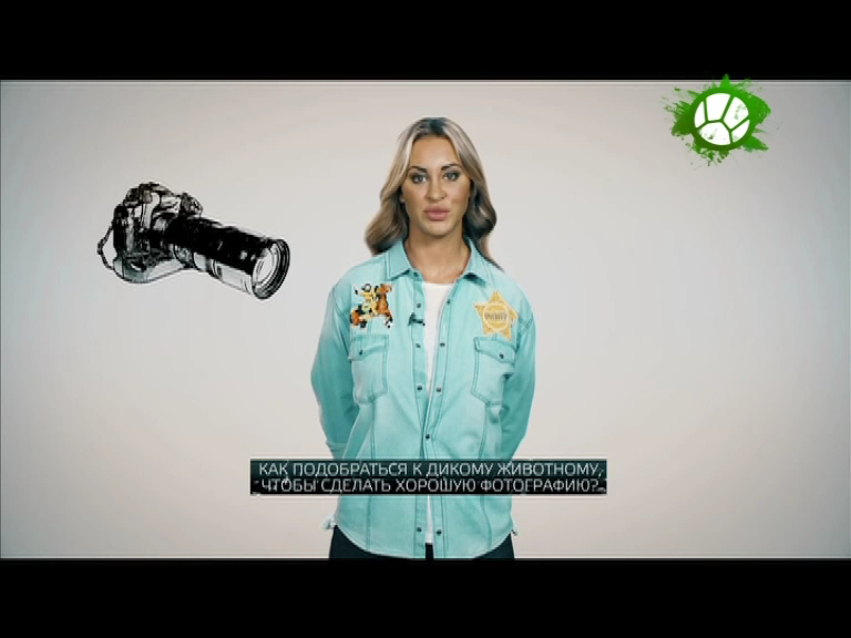 Как подобраться к дикому животному?