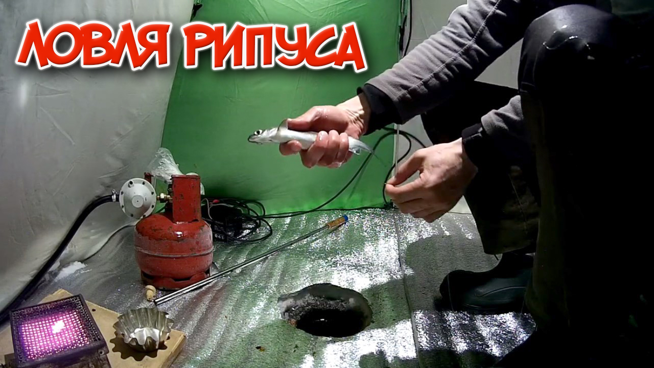 Ловля рипуса на оз. Увильды. Зимняя рыбалка. Рипус.