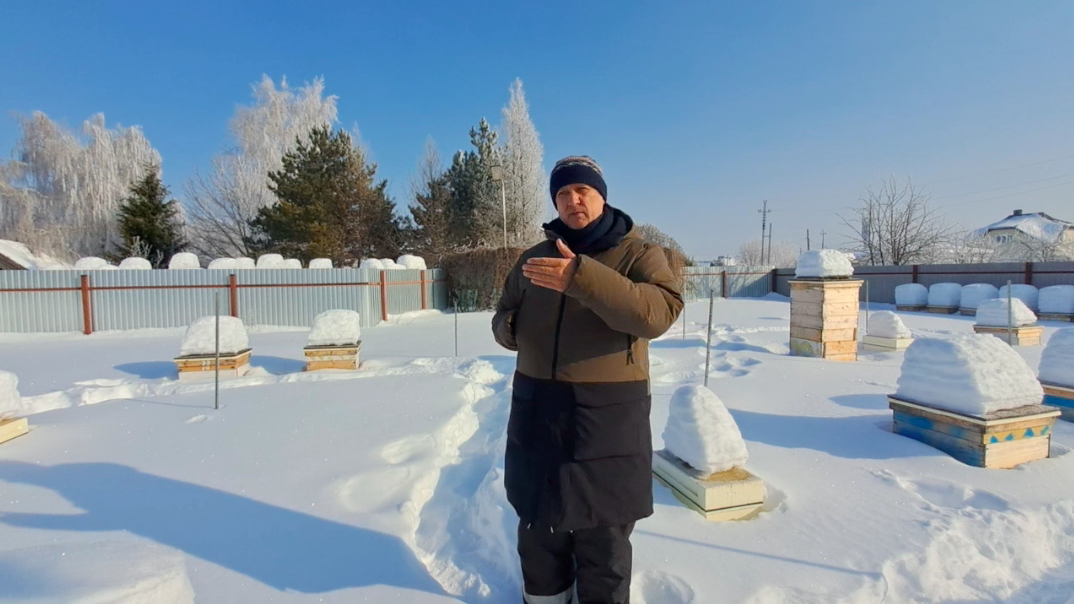 Обстановка на пасеке 2 марта 2024 г. и несколько слов по поводу...