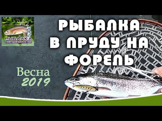 Рыбалка весной 2019 на спиннинг форель в пруду, рыбалка в речке не удалась.