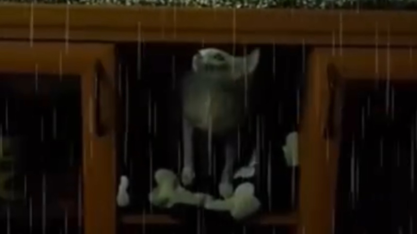 Мой последний аквариум на 250л.