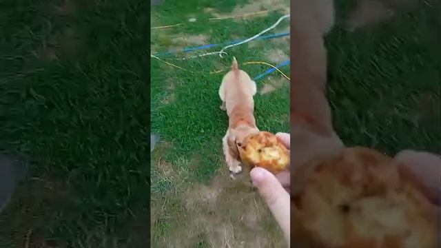 СИМА И ЕЁ ЖИЗНЬ ЧАСТЬ 4!!!