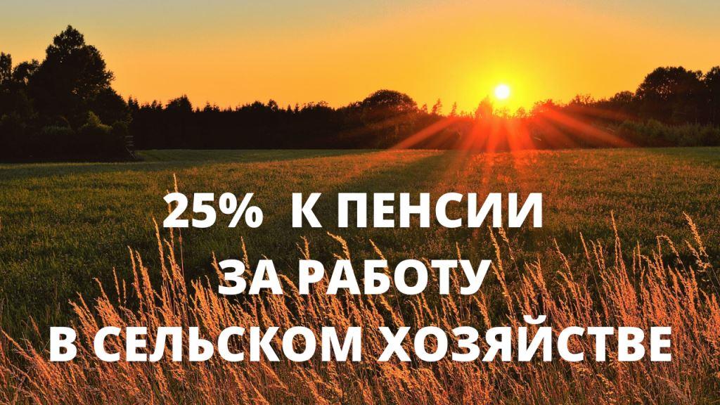 Кому положена доплата за сельский стаж и в каком размере