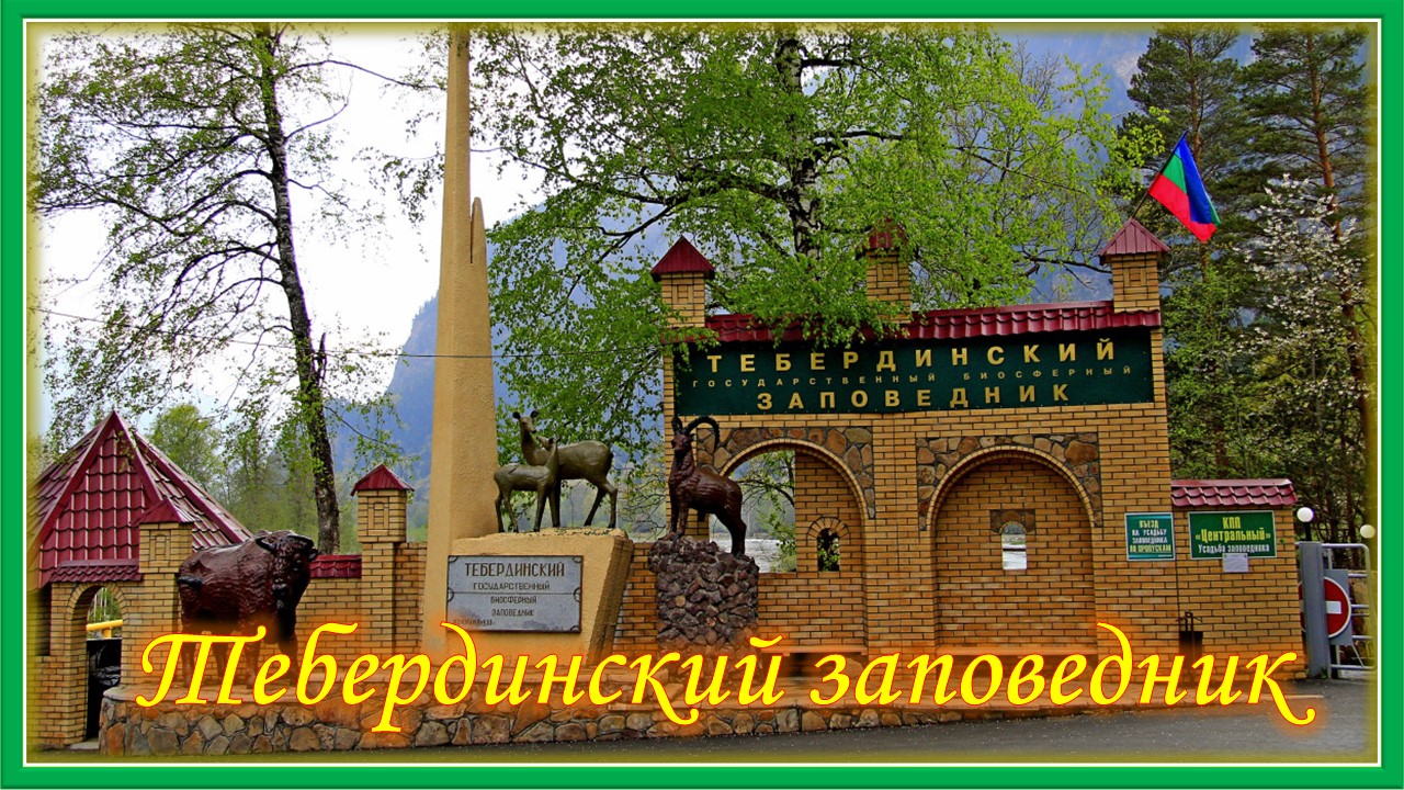 Тебердинский государственный биосферный заповедник.  Виртуальная экскурсия