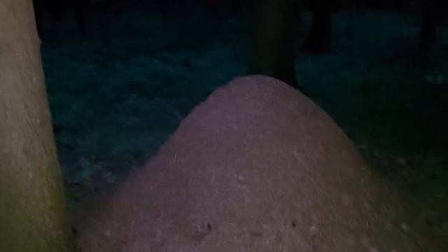 МУРАВЕЙНИК ОДАРИТ ДОБРОМ...СИЛЬНЫЙ РИТУАЛ... ДЛЯ ВСЕХ