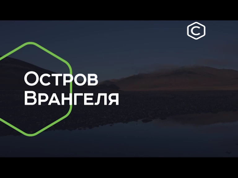 Остров Врангеля