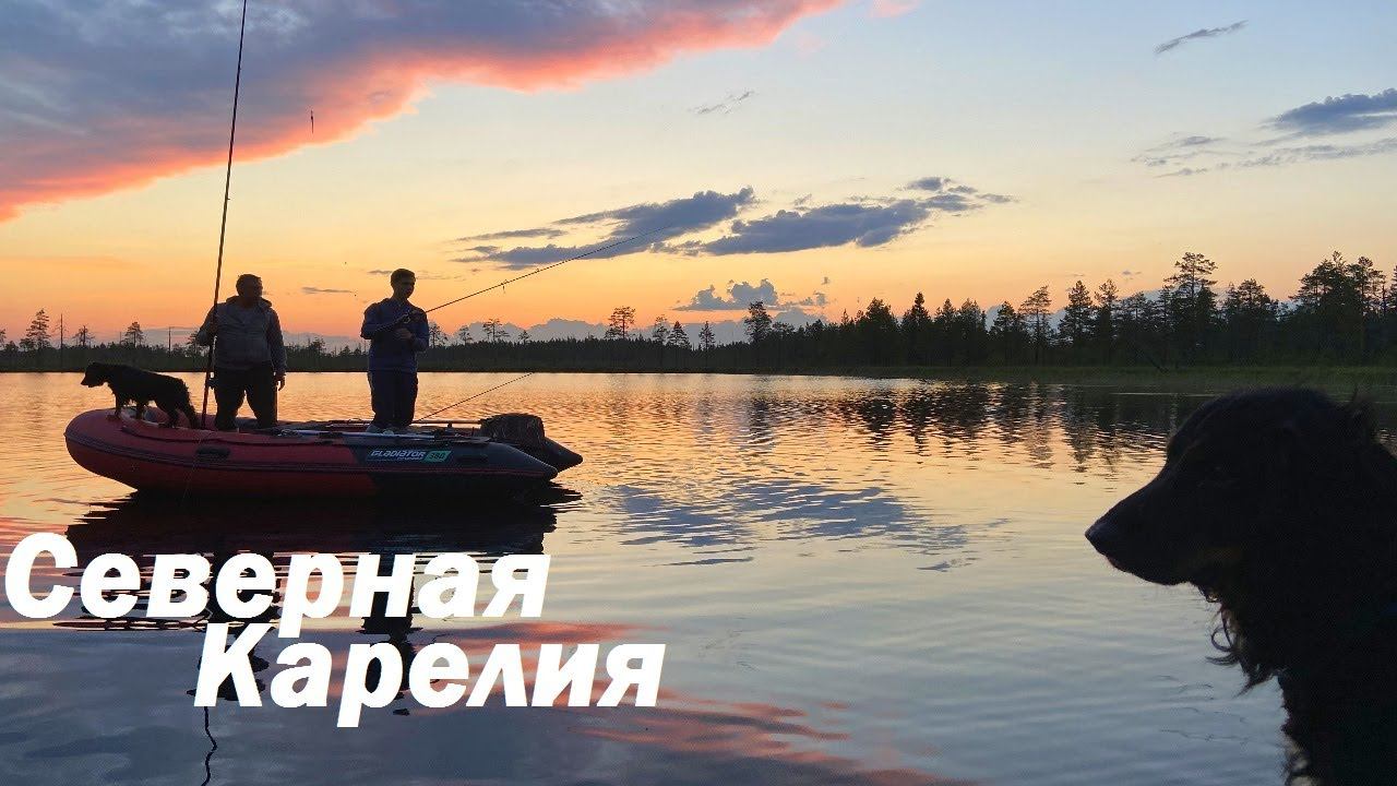 Мелкая речка, а рыбы полно. Проверяем самоловки. Северная Карелия. Рыбалка.