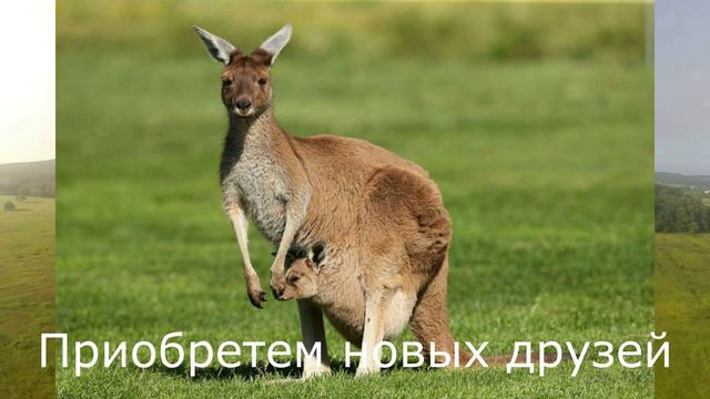 Летающий дом: буктрейлер