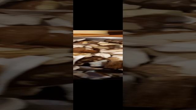 ❗Сбор белых 09.07.2023 г. ? Курская область❗ #shorts #funny #грибы #shortsvideo #shortvideo #fungi