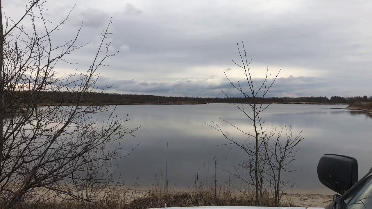 #стопкоронавирус