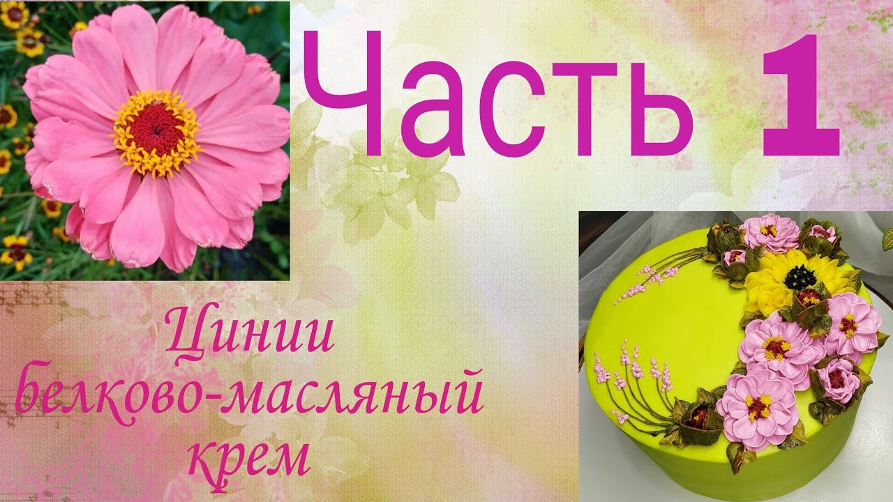 Цинии из крема. Белково-масляный крем.