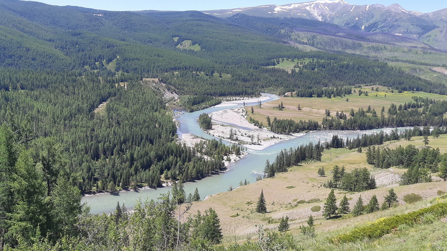 Слияние рек Аргут и Коксу. Республика Алтай. Кош-Агачский район.