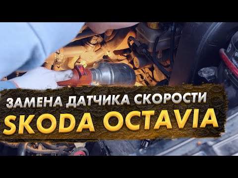 Шкода октавия замена датчика скорости
