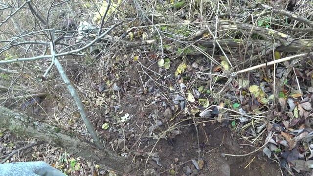 И почему я раньше сюда не приезжал ??? Совхоз кормит.  Коп металлолома. Заработок на арматуре.