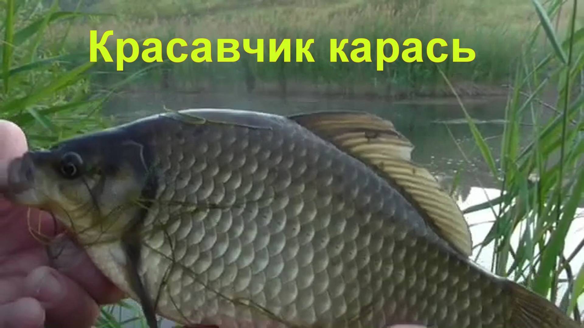 Рыбалка сегодняшнего дня