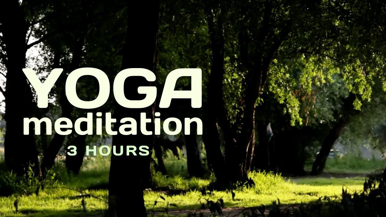 Yoga Meditation 3 Hours (Vikasa Academy)
