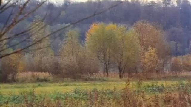 Видишь суслика