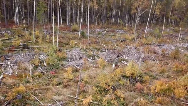 Camplife. Карелия осень 2020.