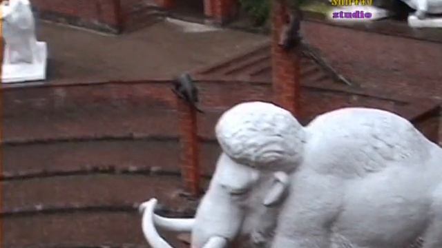 Сборник 2009 год