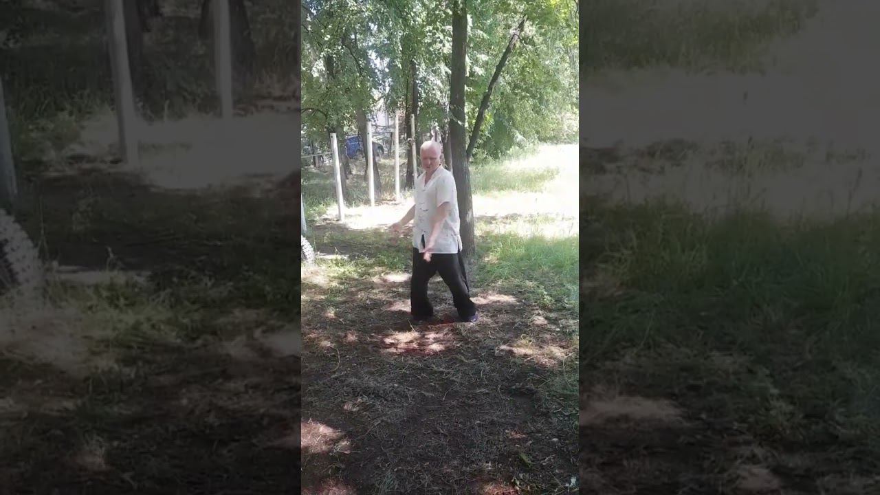 Упражнение "Император восходит на трон". #kungfu #даосскиепрактики #цигун #двигайся_в_потоке